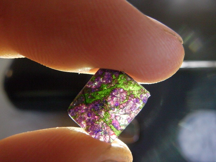 New Zealand gems - Other Treasures - Old Forum Archive - New Zealand ...