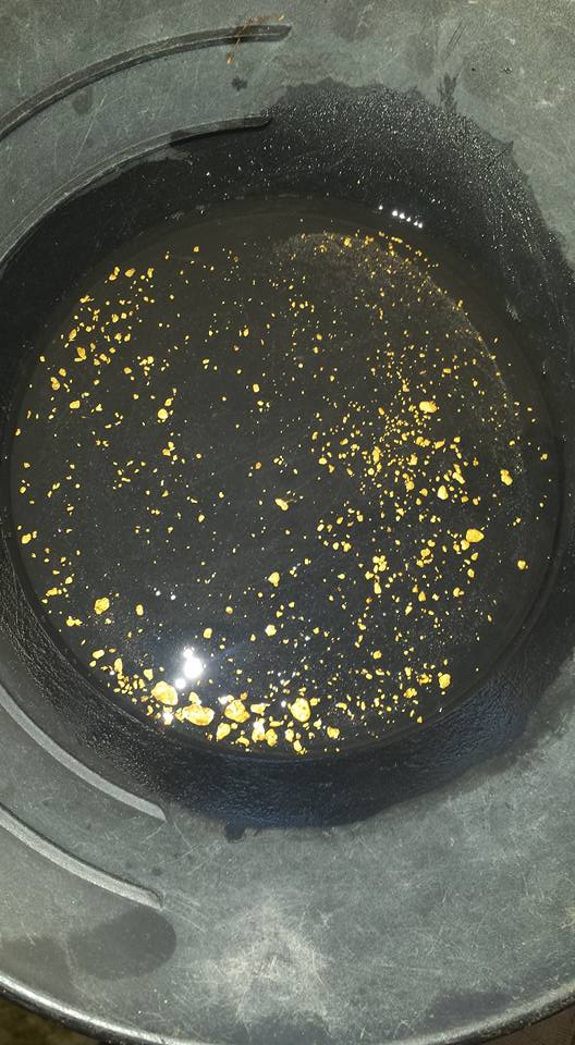 ross gold - Show and Tell - Old Forum Archive - New Zealand Gold ...